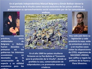 Conozcamos La Vicuña | PPS