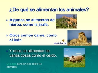Conozcamos los animales | PPSX