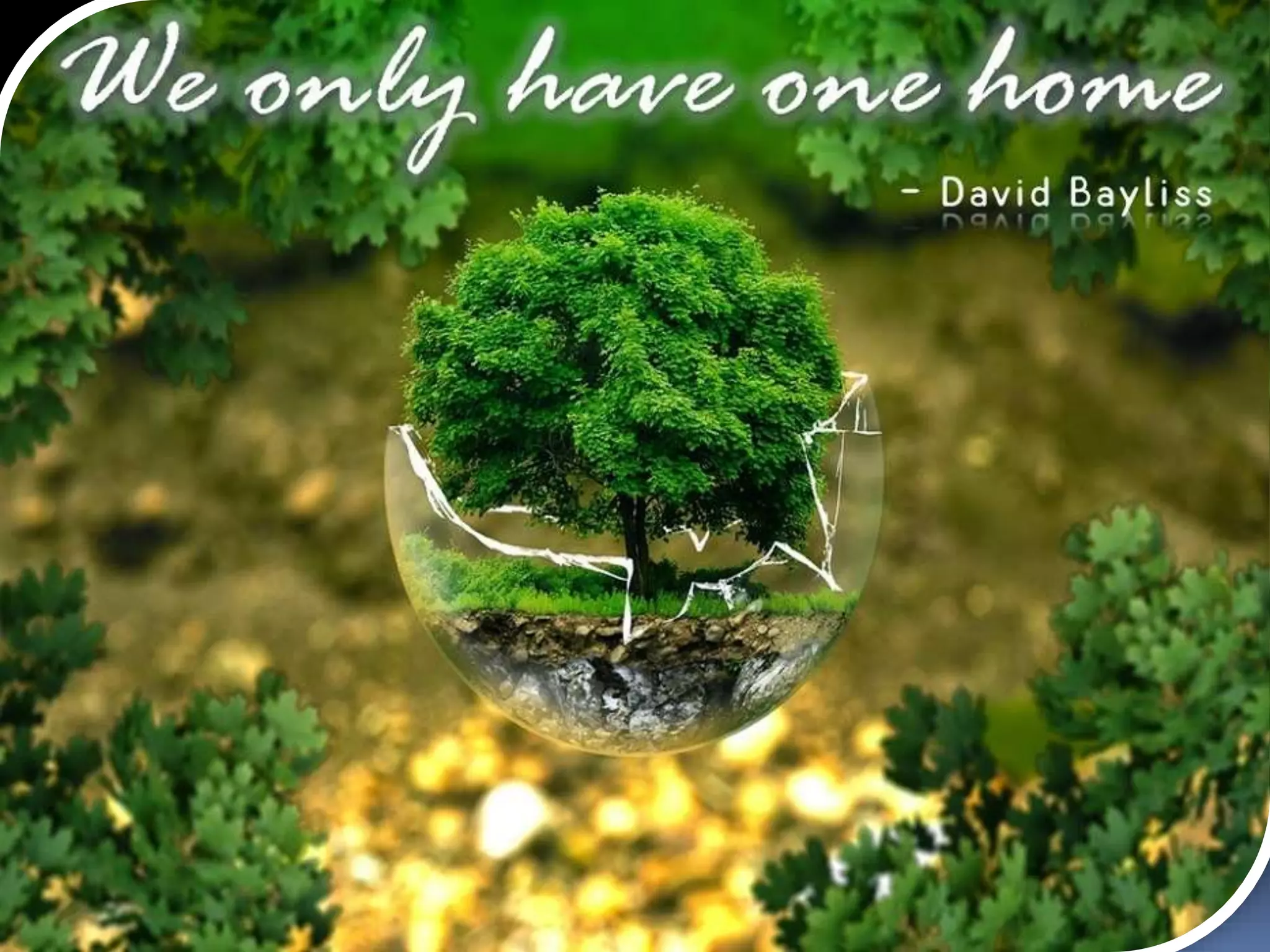 Conscientisation | PPT