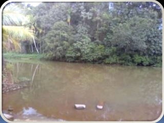 Conscientisation | PPT