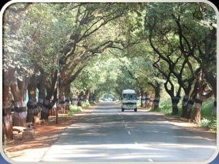 Conscientisation | PPT