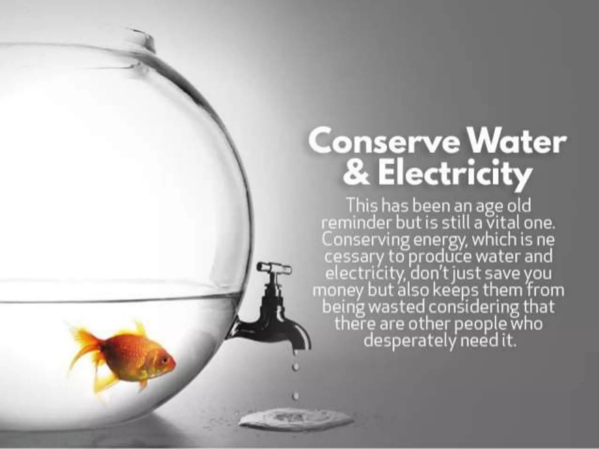 Conscientisation | PPT