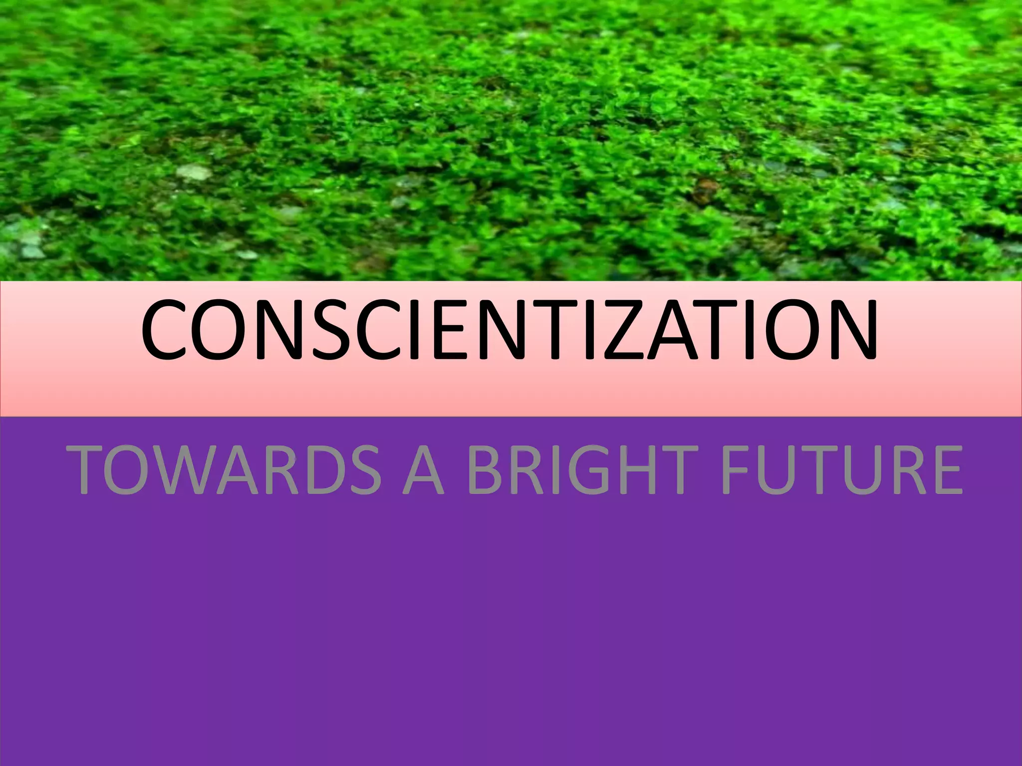 Conscientization [autosaved] | PPT