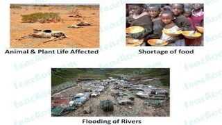 Conscientization programme - deforestation | PPTX