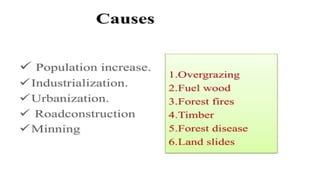 Conscientization programme - deforestation | PPTX