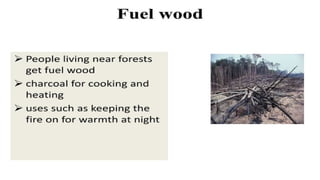 Conscientization programme - deforestation | PPT