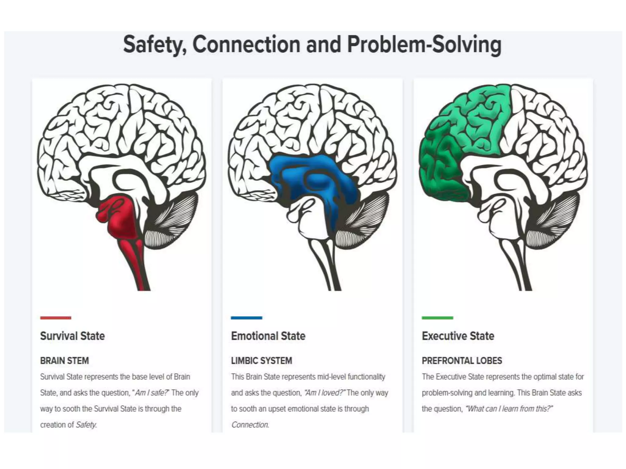 Conscious Discipline | PPTX