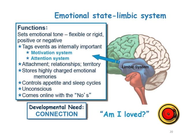 Conscious Discipline | PPTX