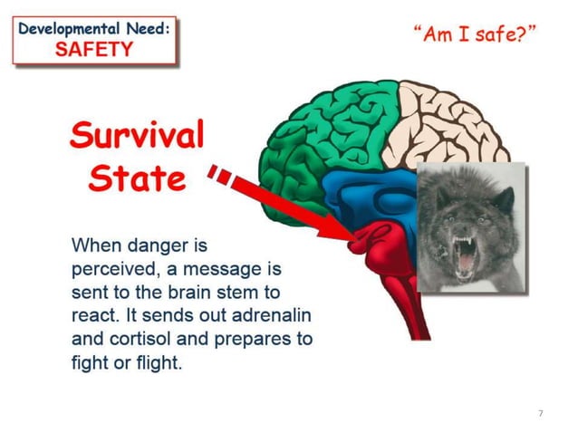 Conscious Discipline | PPTX