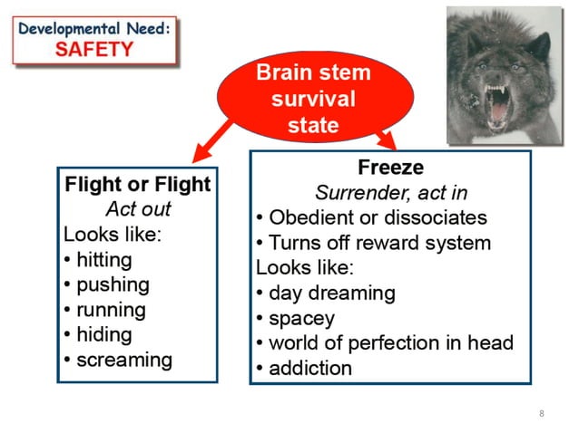 Conscious Discipline | PPTX