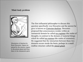 Consciousness | PPT