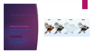 Consciousness | PPTX