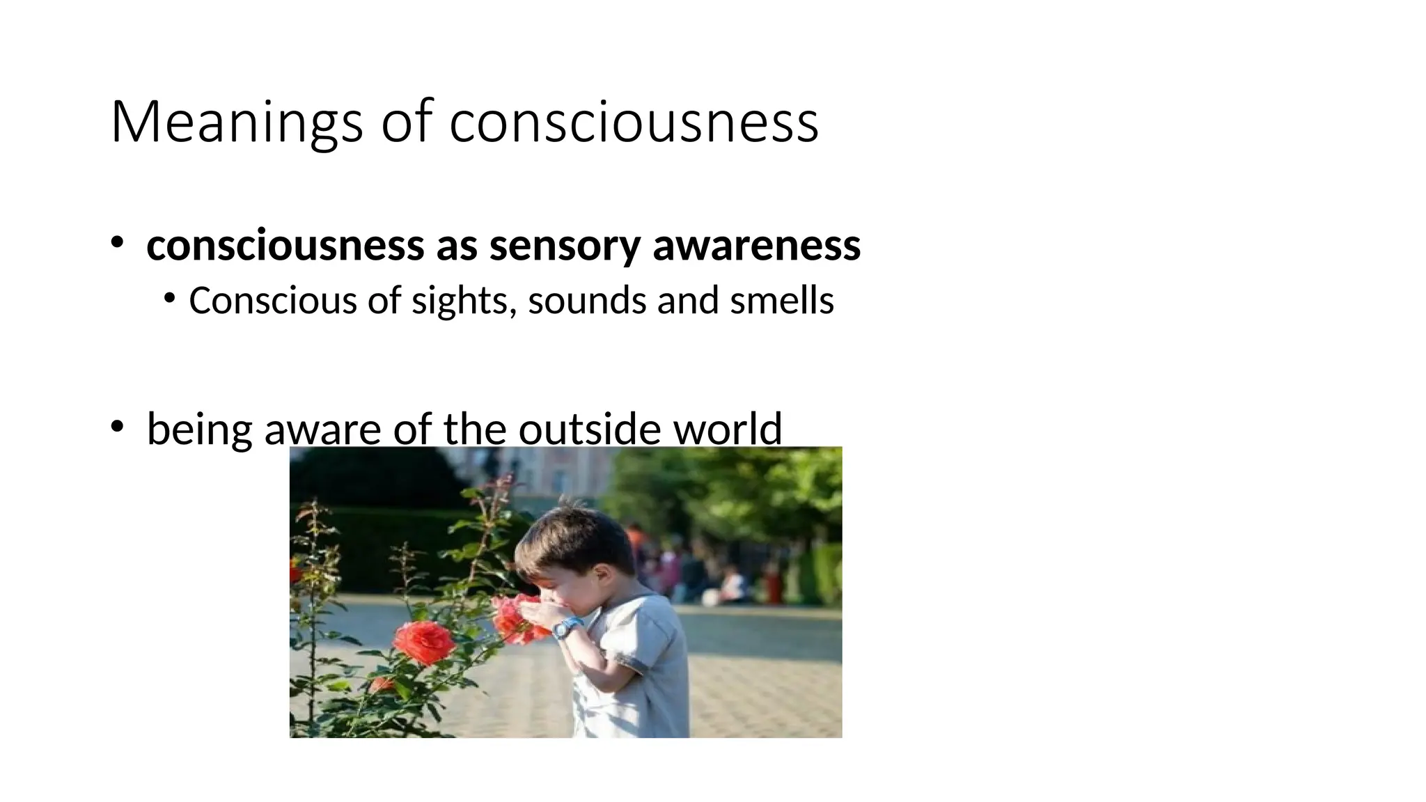 theory of CONSCIOUSNESS and free will .pptx