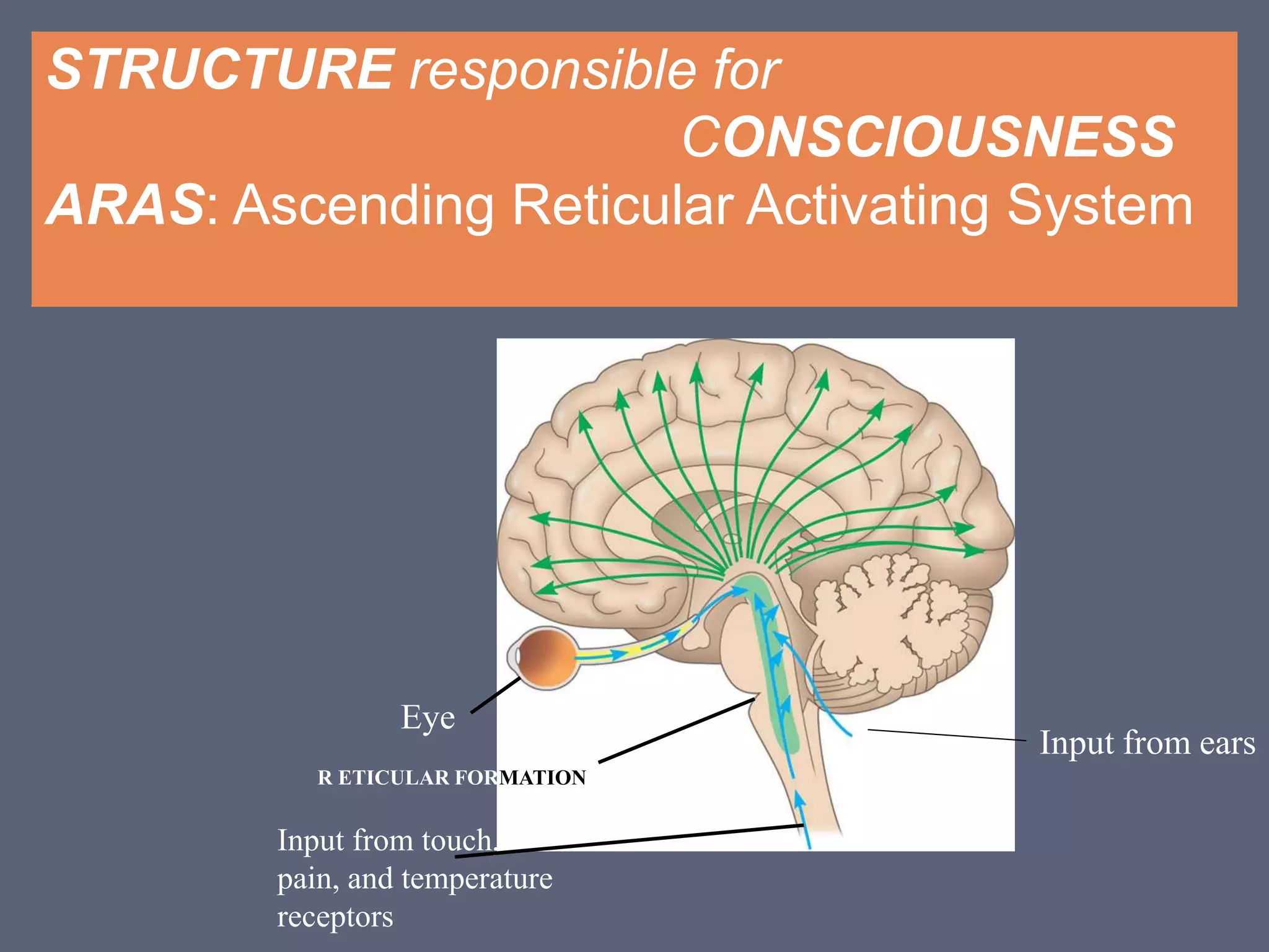 CONSCIOUSNESS-SYSTEM.ppt