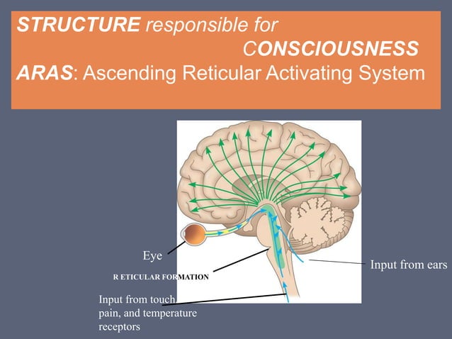 CONSCIOUSNESS-SYSTEM.ppt
