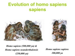 Consciousness Week 1 | PPT