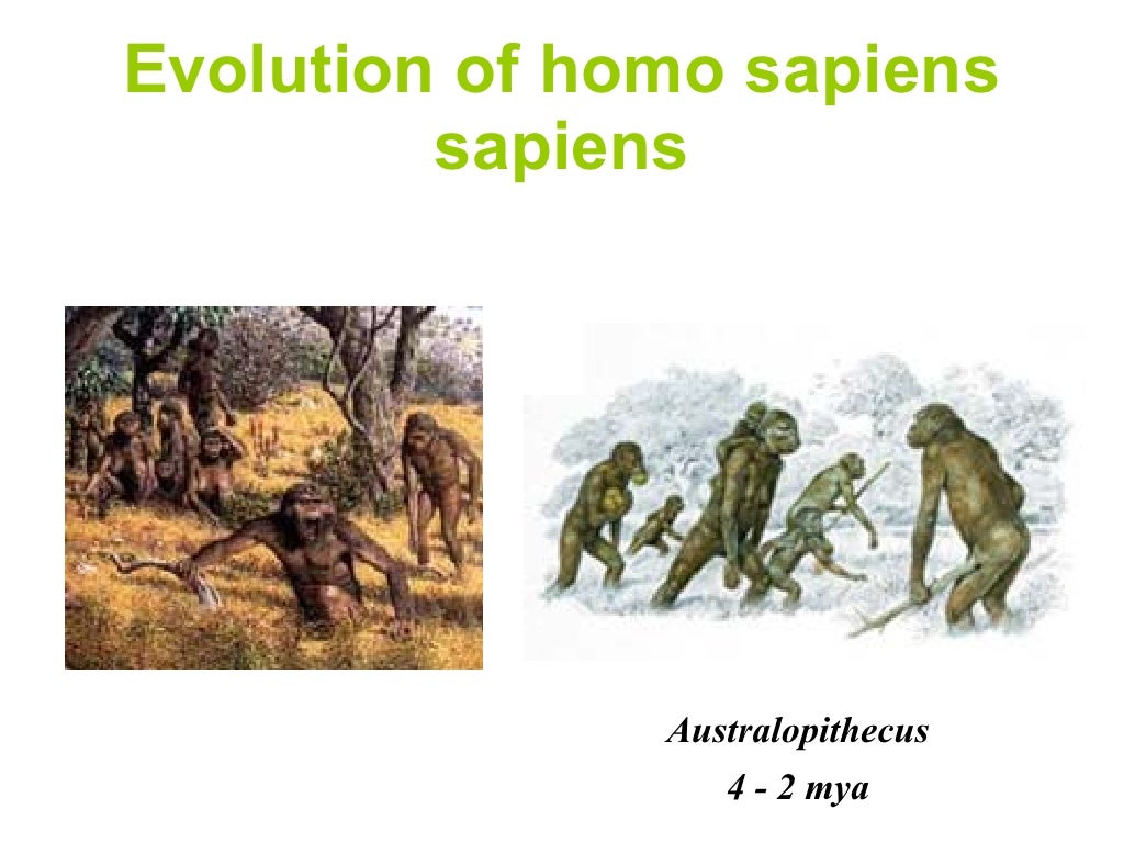 Consciousness Week 1