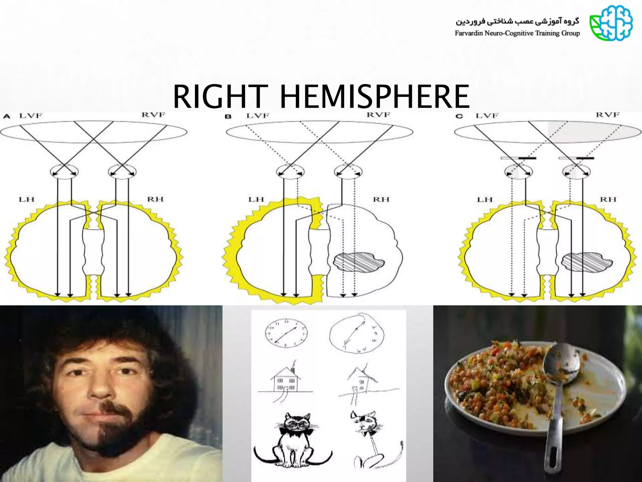 Consciousness and attention | PPSX