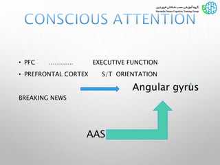 Consciousness and attention | PPSX