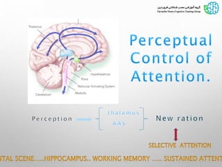 Consciousness and attention | PPSX