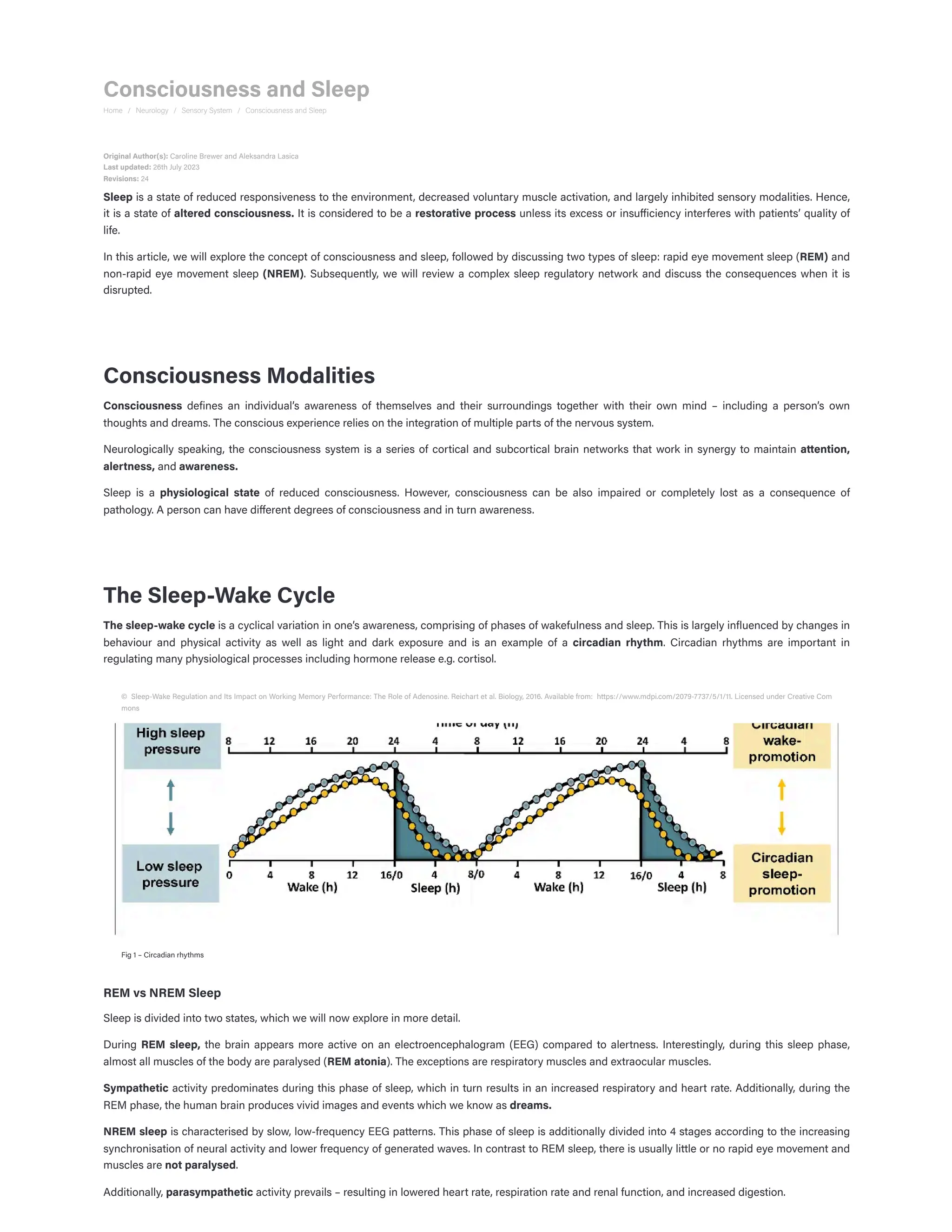 Consciousness and Sleep - REM - Stages of Sleep - TeachMePhysiology.PDF