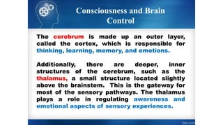 PHYSIOLOGY OF CONSCIOUSNESS & BIOLOGICAL RHYTHM.pptx