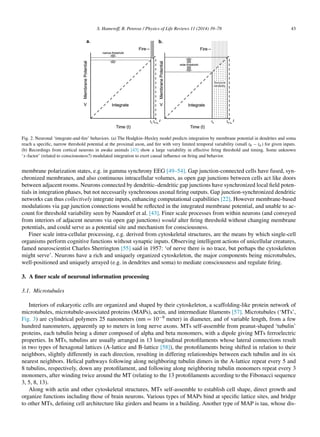 Consciousness in the universe a review of the ‘orch or’ theory by ...