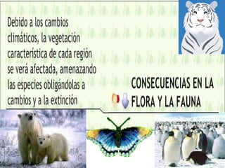 Consecuencias del calentamiento global. para niños | PPT
