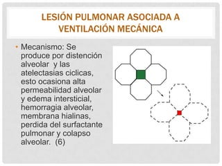 Consecuencias fisiológicas y fisiopatológicas de la ventilación ...