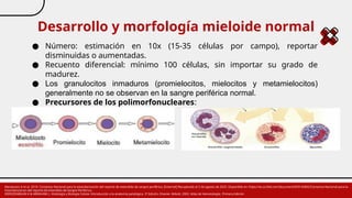 CONSENSO DE LAMINA PERIFERICA INTERNACIONAL | PPTX