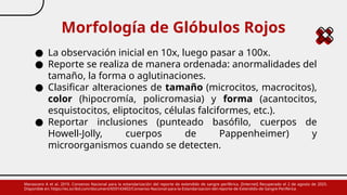 CONSENSO DE LAMINA PERIFERICA INTERNACIONAL | PPTX