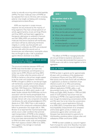 Consenso de utilização de PHMB em feridas 2010 | PDF