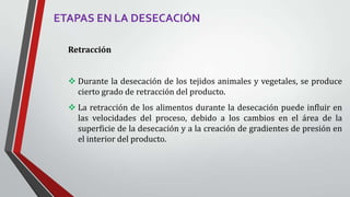 Conservación de alimentos por desecación. | PPTX