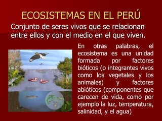 Conservacion de ecosistemas en el peru (1) | PPTX
