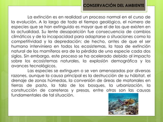 Conservacion del ambiente | PPTX