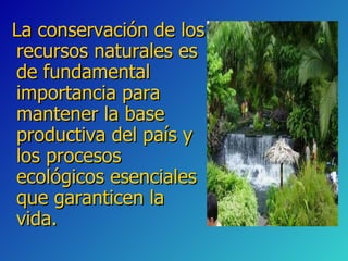 Conservacion de los recursos naturales | PPT