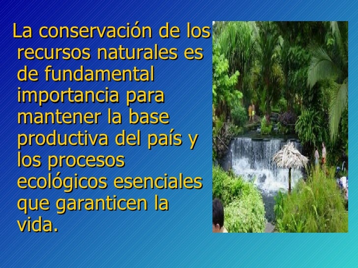 Conservacion De Los Recursos Naturales
