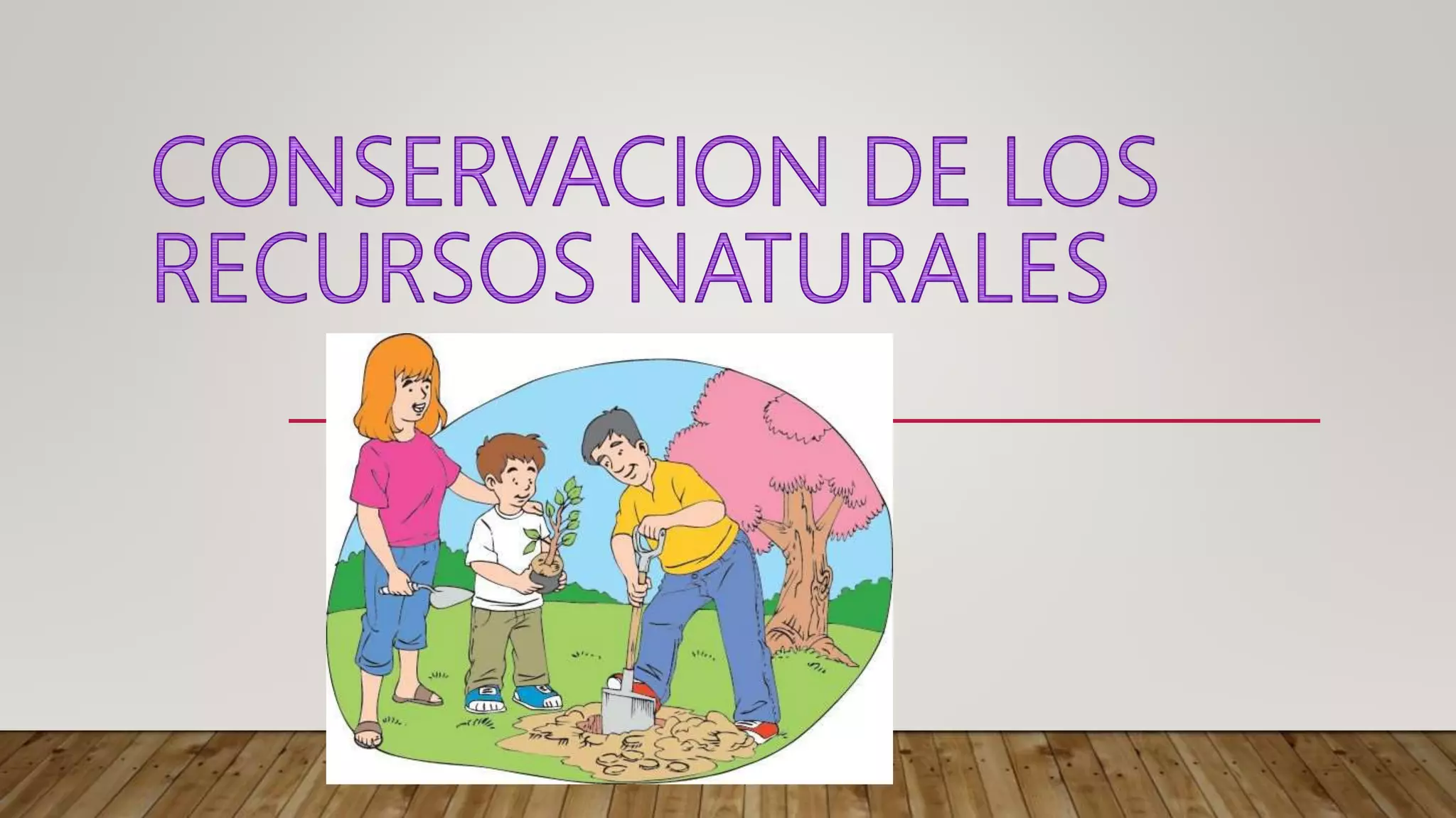 Conservacion de los recursos naturales | PPTX