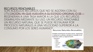 Conservacion de los recursos naturales | PPTX