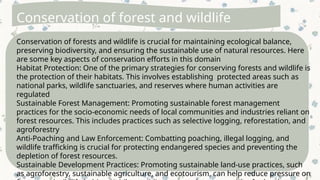 conservation of plants and animals cbse.pptx
