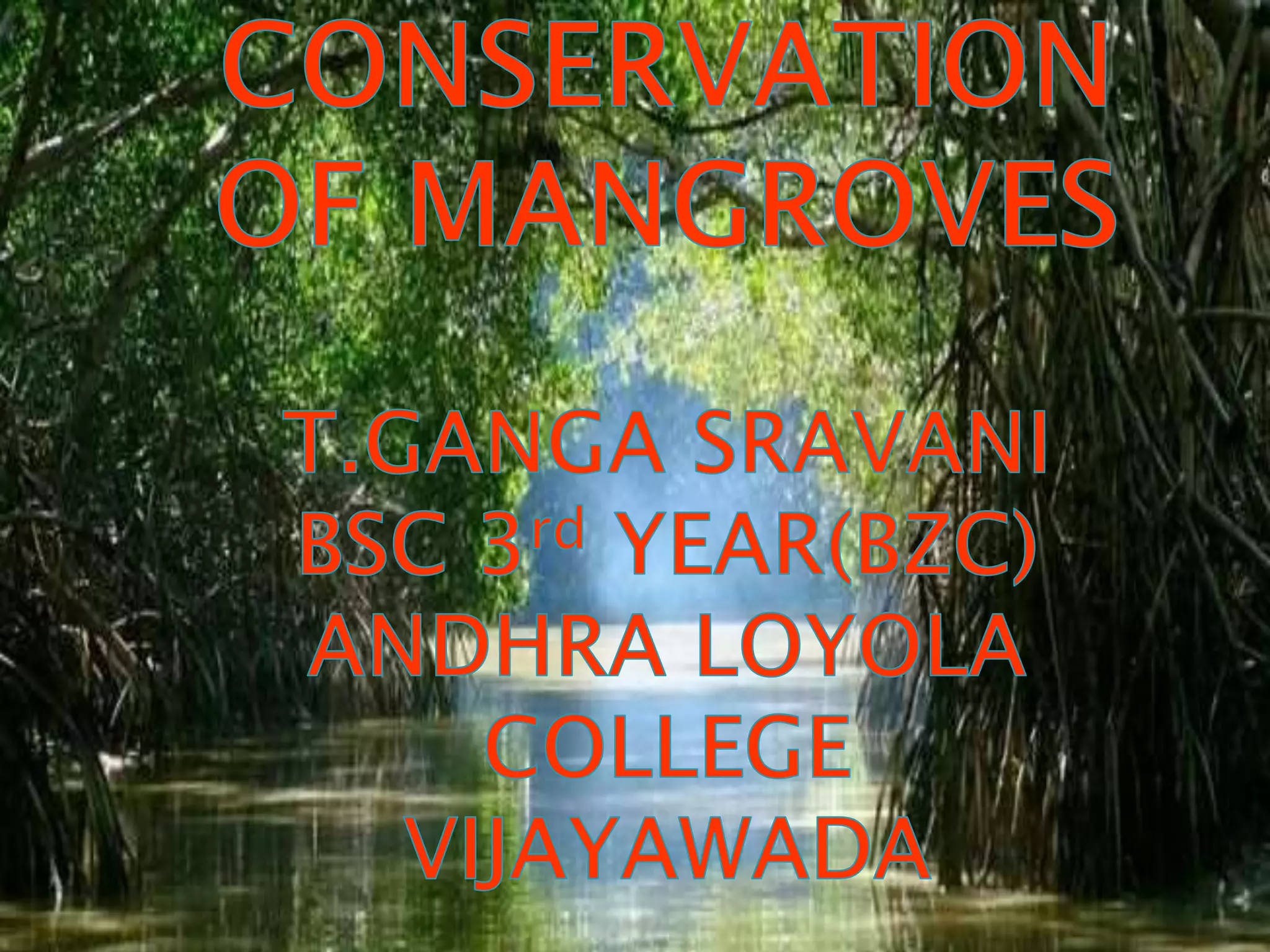 Conservation of mangroves | PPTX