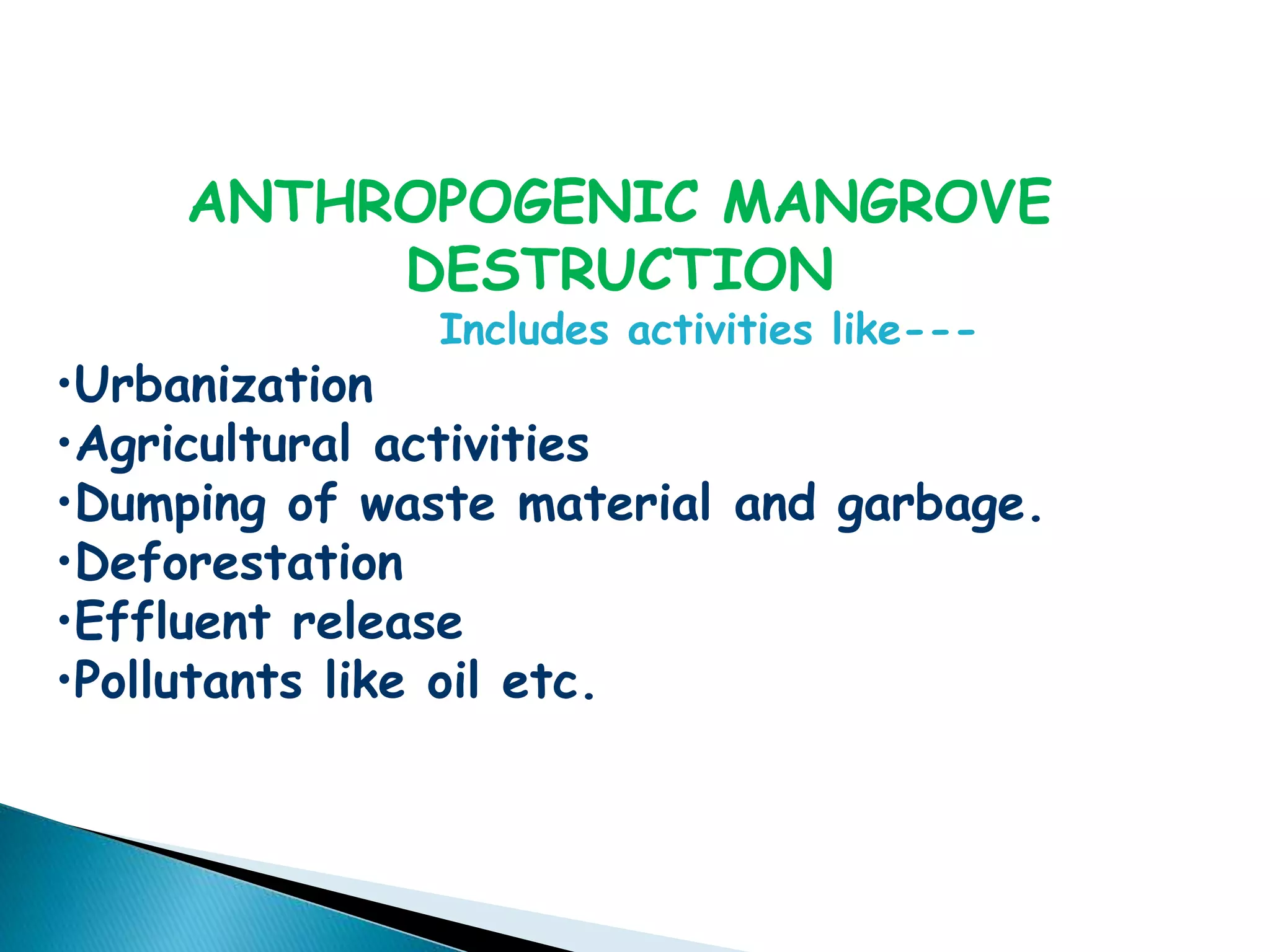 Conservation of mangroves | PPTX