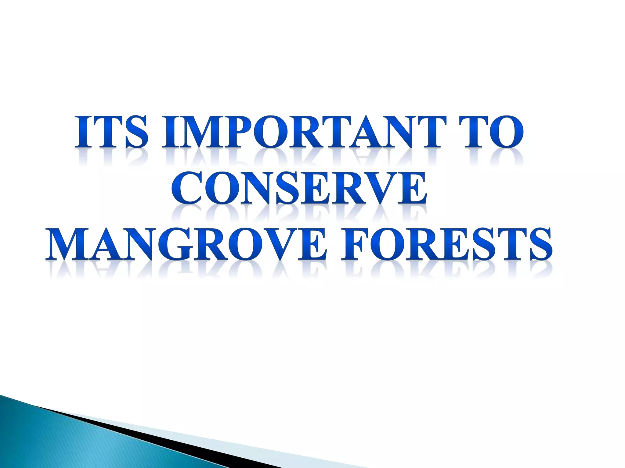 Conservation of mangroves | PPTX