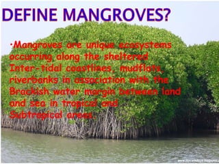 Conservation of mangroves | PPTX