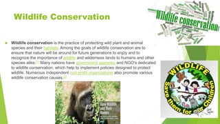 Conservation | PPTX