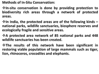 Conservation.pptx