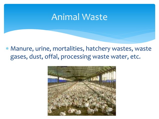 Conservation-and-Uses-of-Animal-Materials-2.pptx