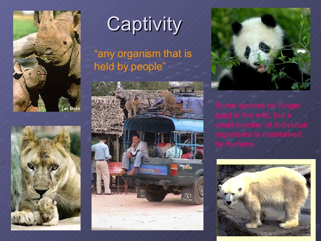 conservation-biology