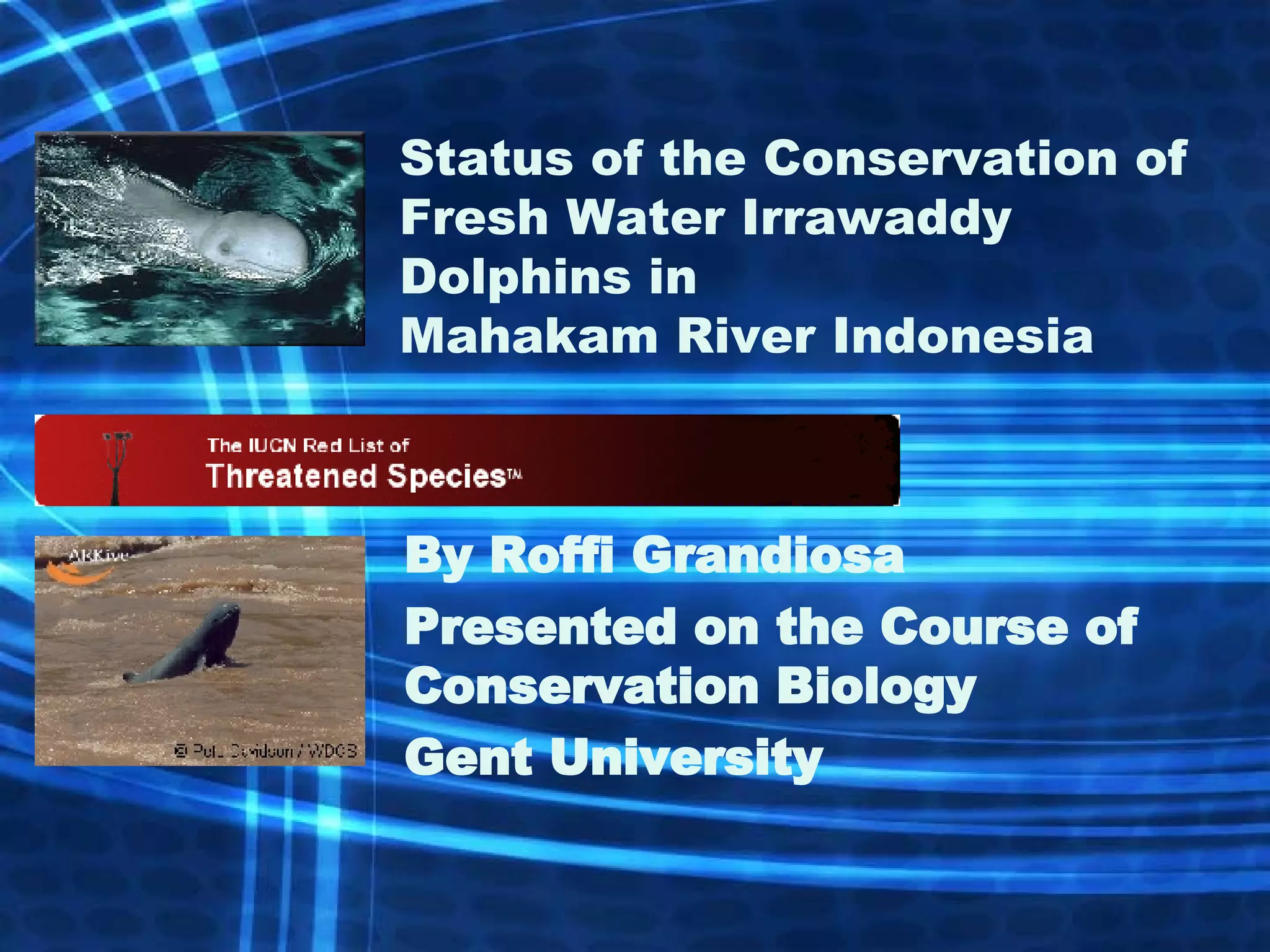 Conservation of Pesut Mahakam | PPT