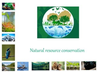 Conservation Of Natural Resources